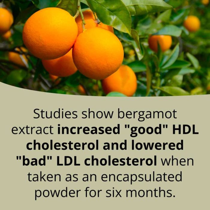 Good Health Naturally USA: Quality Nutritional Supplements